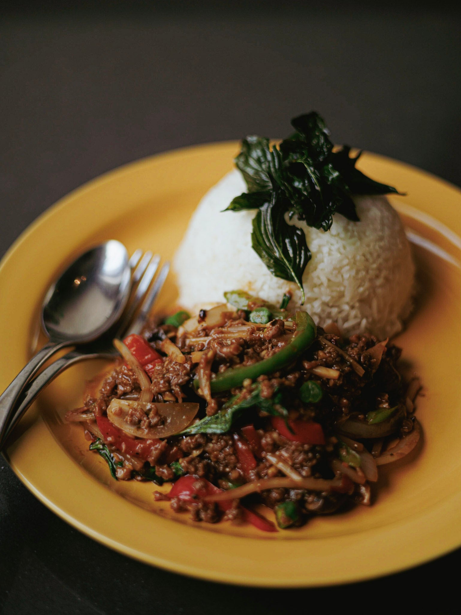 Kra-pao with Rice | Kati Vegan Thai